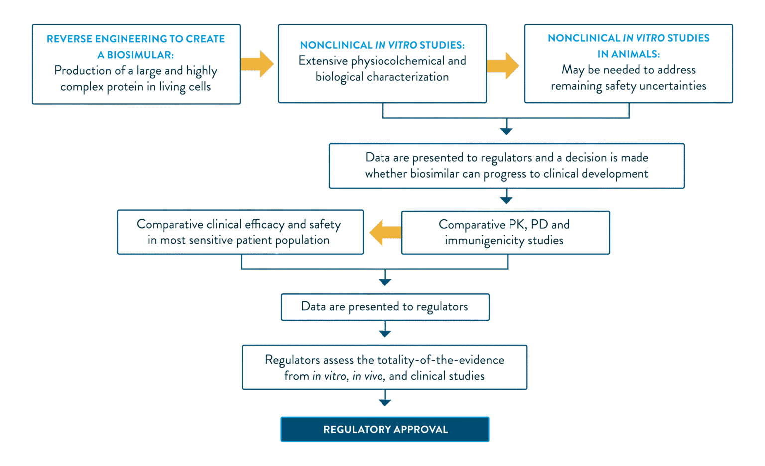 Approval Pathway - Abbott | Medicines GLOBAL